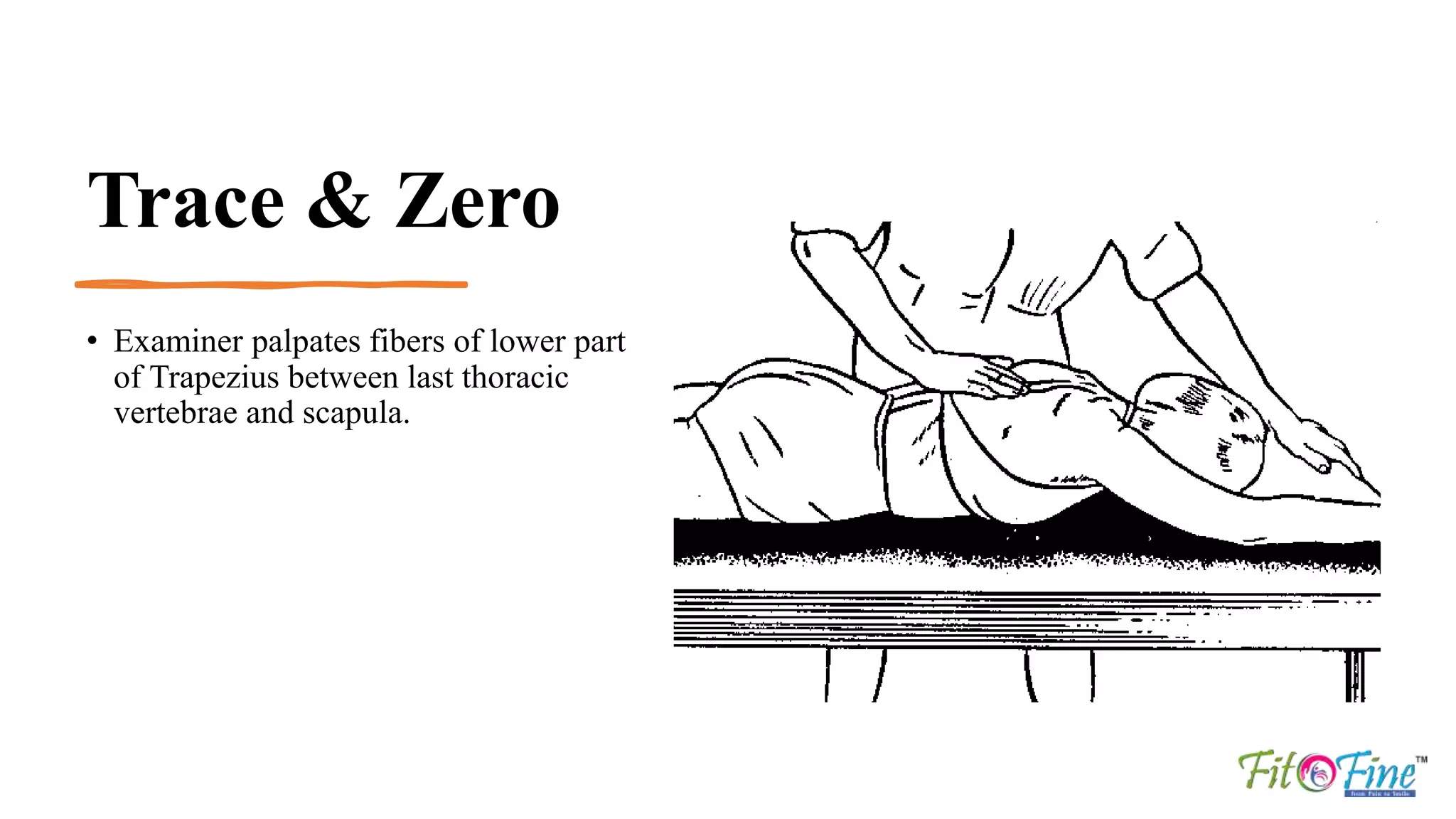 MMT Neck & Scapula.pptx