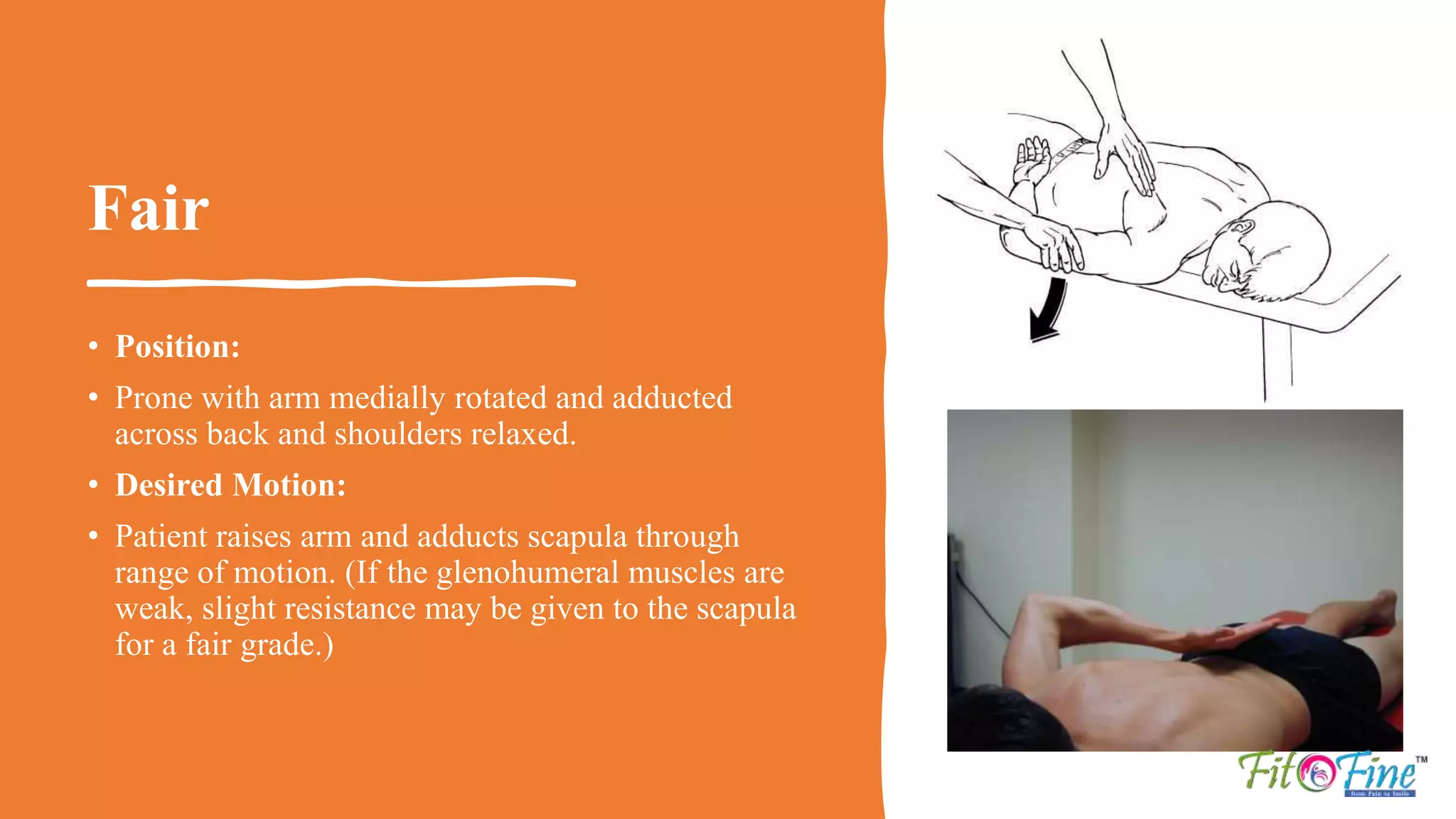 MMT Neck & Scapula.pptx