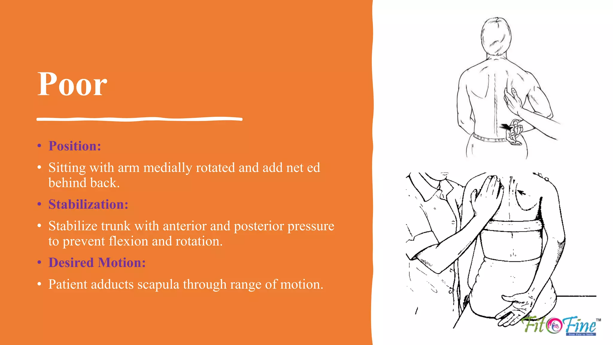MMT Neck & Scapula.pptx