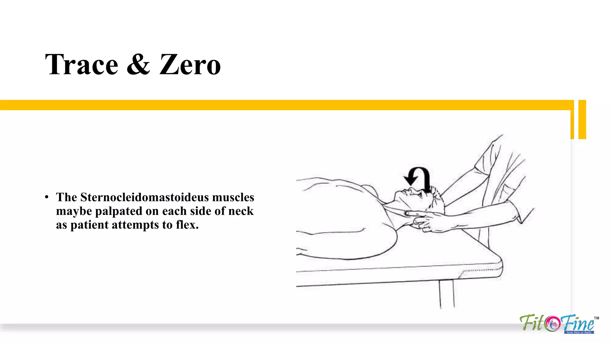 MMT Neck & Scapula.pptx