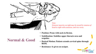 MMT Neck & Scapula.pptx
