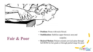 MMT Neck & Scapula.pptx