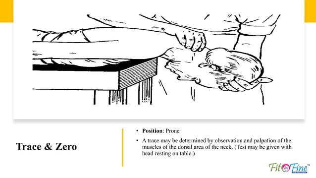 MMT Neck & Scapula.pptx | Death, Injury, or Military Conflict ...