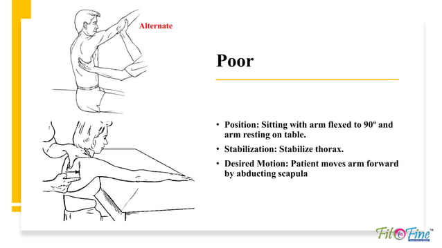 MMT Neck & Scapula.pptx | Death, Injury, or Military Conflict ...