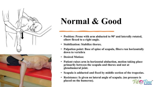 MMT Neck & Scapula.pptx | Death, Injury, or Military Conflict ...