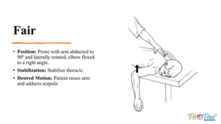 MMT Neck & Scapula.pptx