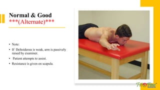 MMT Neck & Scapula.pptx