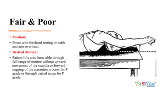 MMT Neck & Scapula.pptx