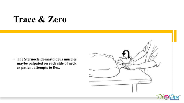 MMT Neck & Scapula.pptx | Death, Injury, or Military Conflict ...