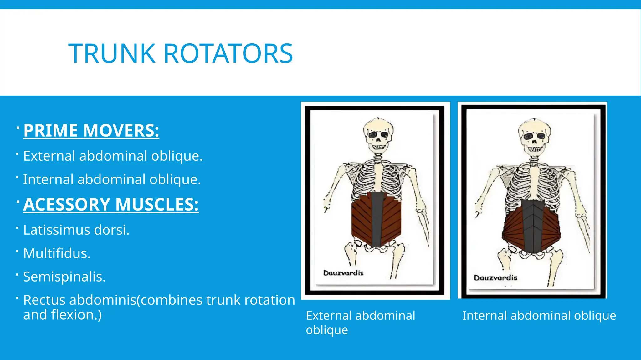 MANUAL MUSCLE TESTING OF CORE MUSCLES (abdominals) | PPTX