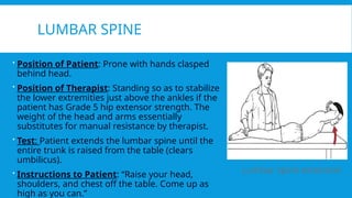 MANUAL MUSCLE TESTING OF CORE MUSCLES (abdominals) | PPTX