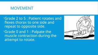 MANUAL MUSCLE TESTING OF CORE MUSCLES (abdominals) | PPTX