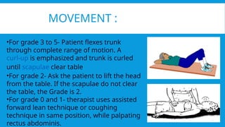 MANUAL MUSCLE TESTING OF CORE MUSCLES (abdominals) | PPTX
