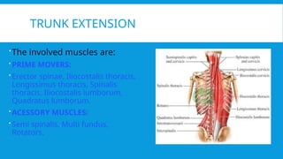 MANUAL MUSCLE TESTING OF CORE MUSCLES (abdominals) | PPTX