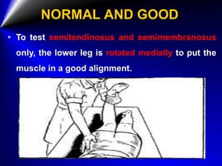 MMT of Knee.pdf