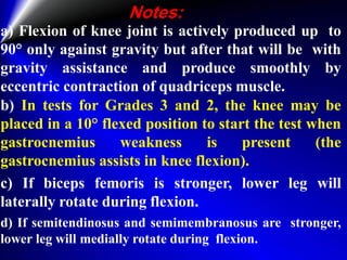 MMT of Knee.pdf