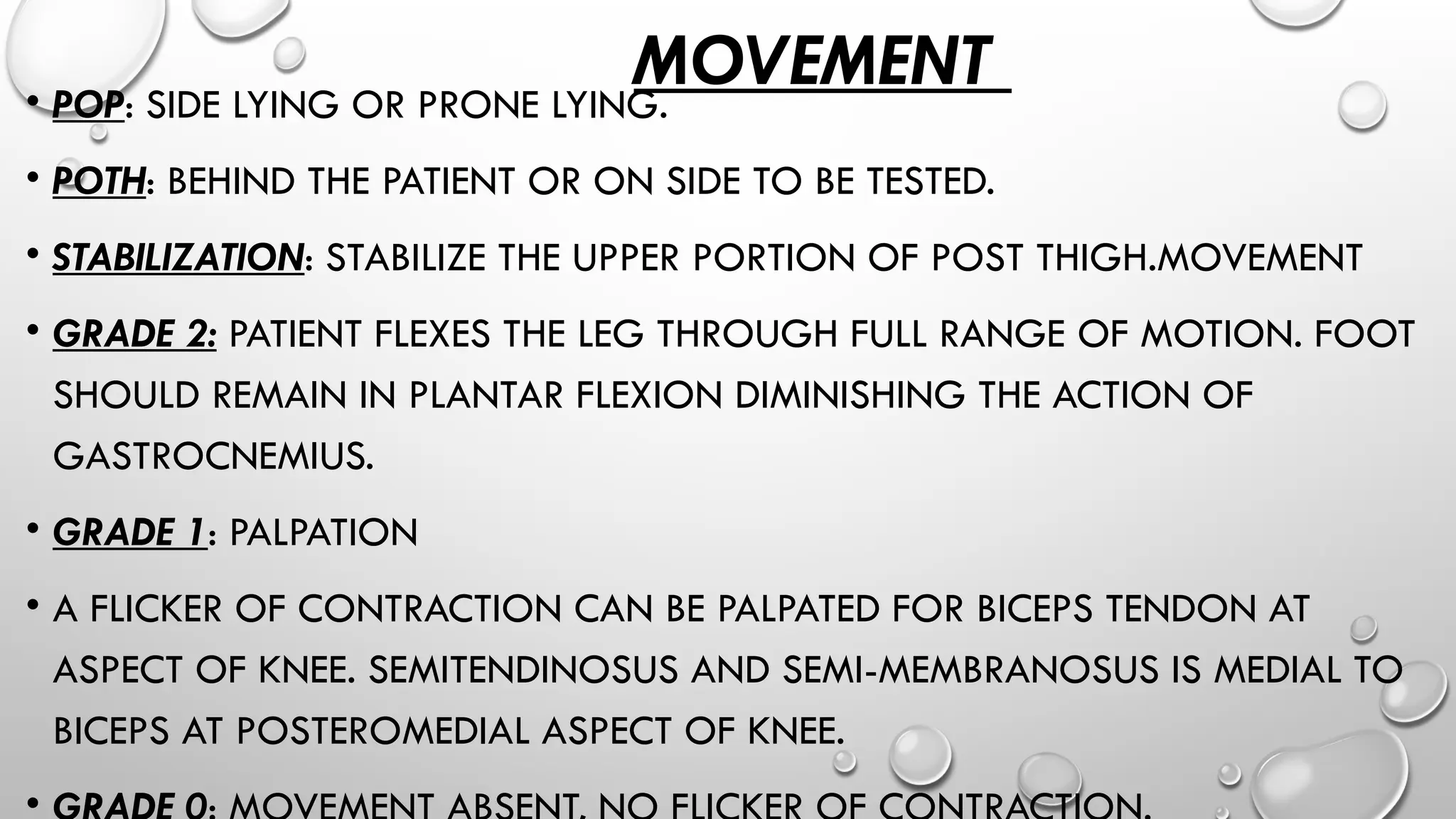 Manual Muscle Testing Of the Knee Joints | PPTX