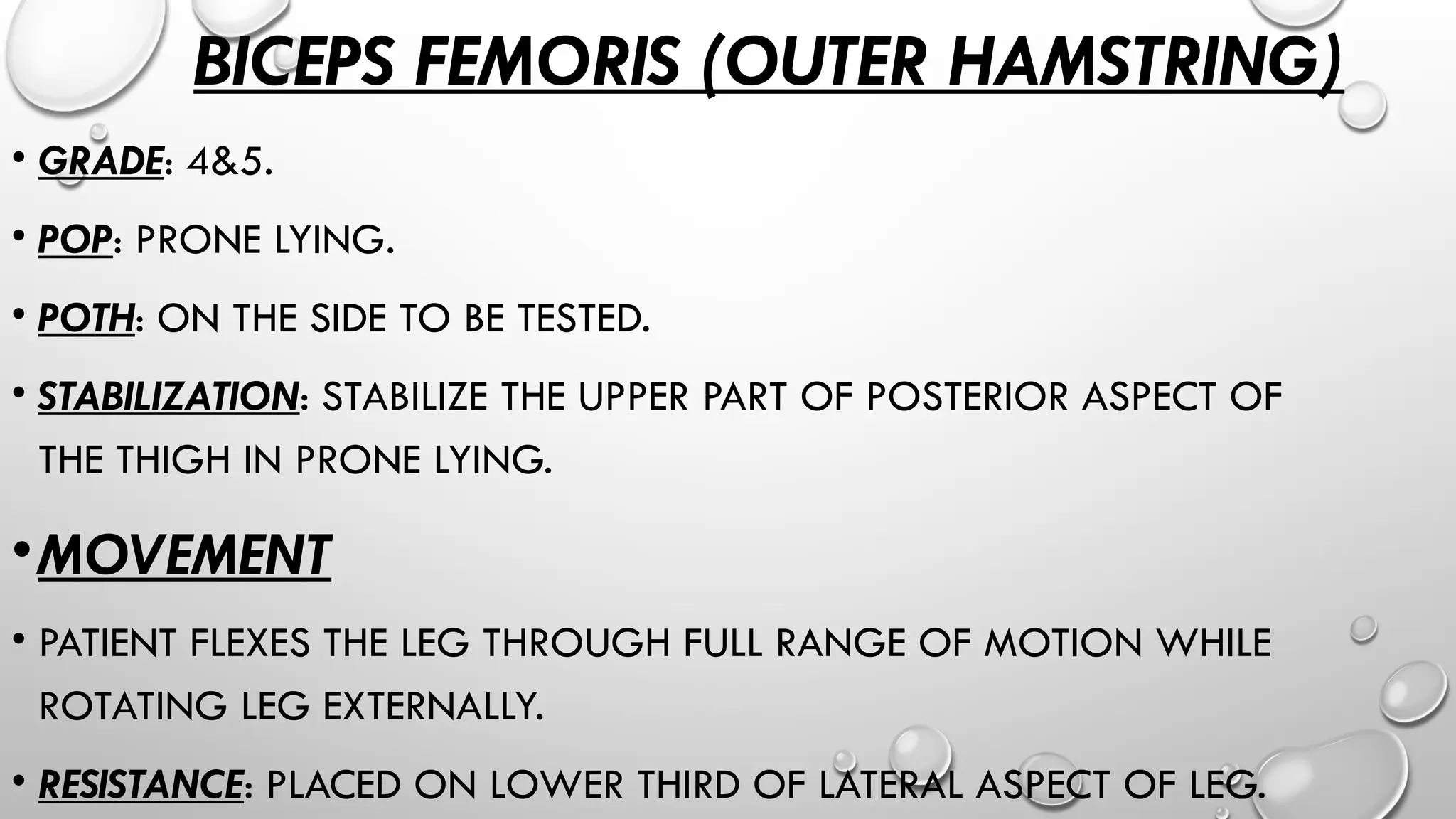 Manual Muscle Testing Of the Knee Joints | PPTX