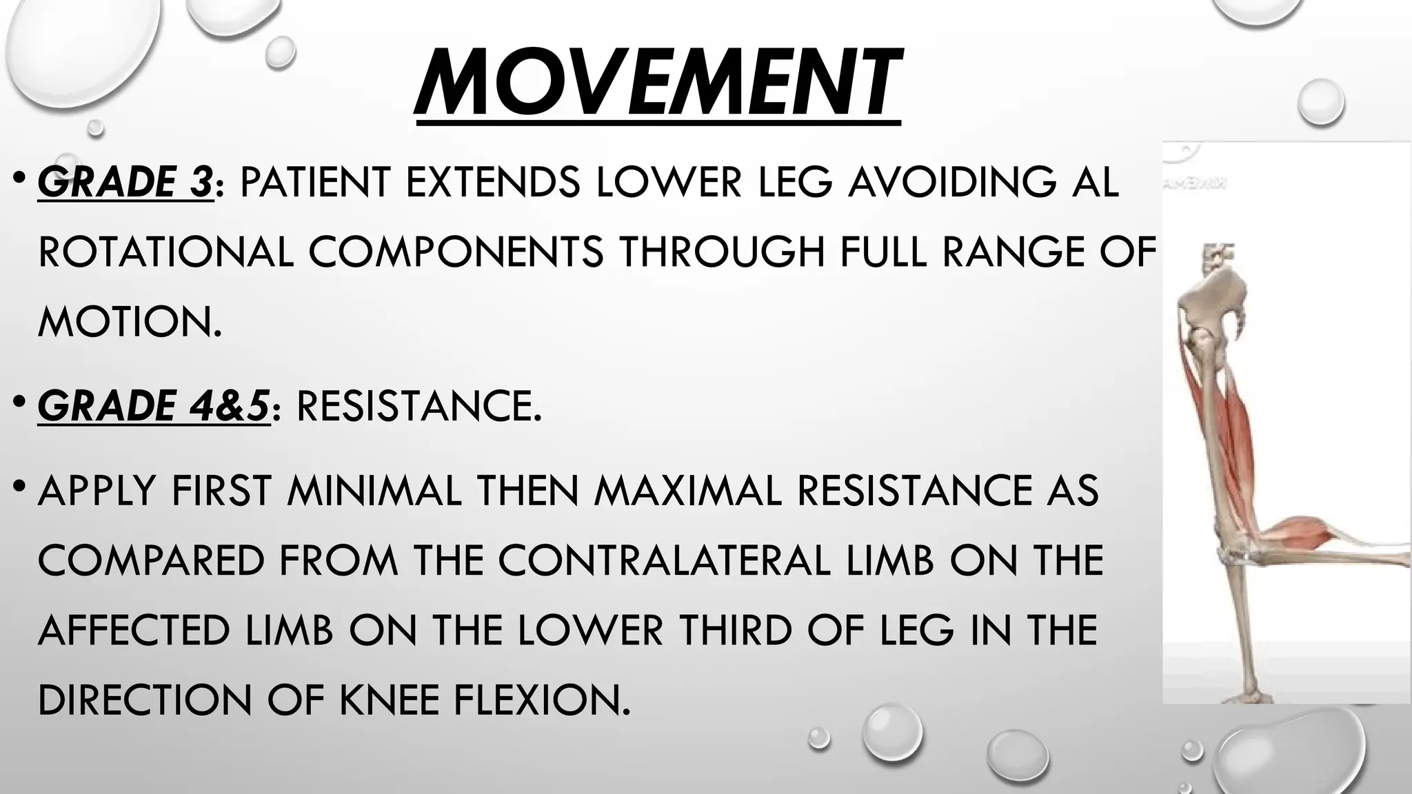 Manual Muscle Testing Of the Knee Joints | PPTX
