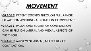 Manual Muscle Testing Of the Knee Joints | PPT