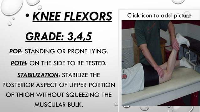 Manual Muscle Testing Of the Knee Joints | PPT