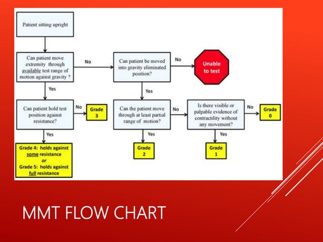 Basic concepts of Manual Muscle Testing (MMT) | PPT