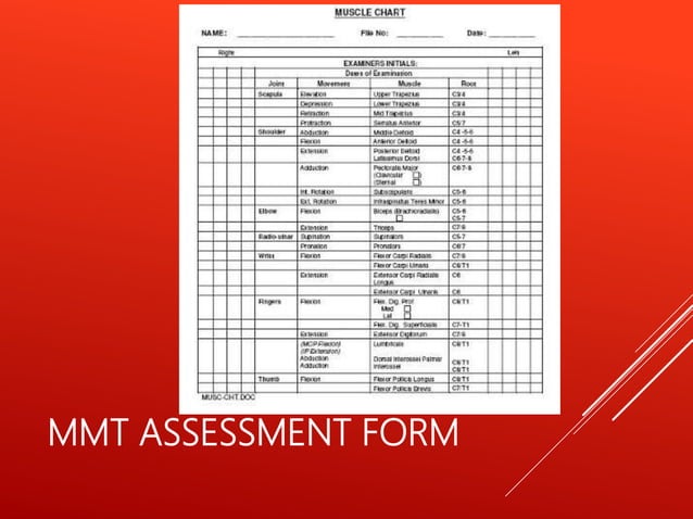 Basic Concepts Of Manual Muscle Testing Mmt Ppt