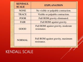 Manual Muscle Testing (MMT): Grading, Procedure Samarpan, 60% OFF