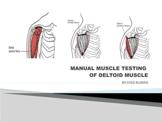 MMT of deltoid muscle using MRC grading system | PPTX