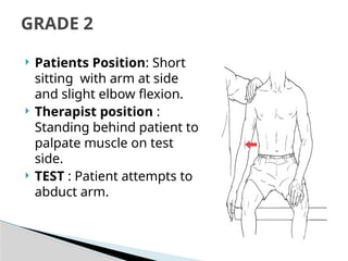 MMT of deltoid muscle using MRC grading system | PPTX