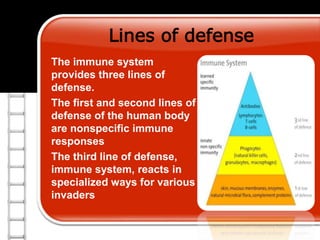immune deficiency | PPT