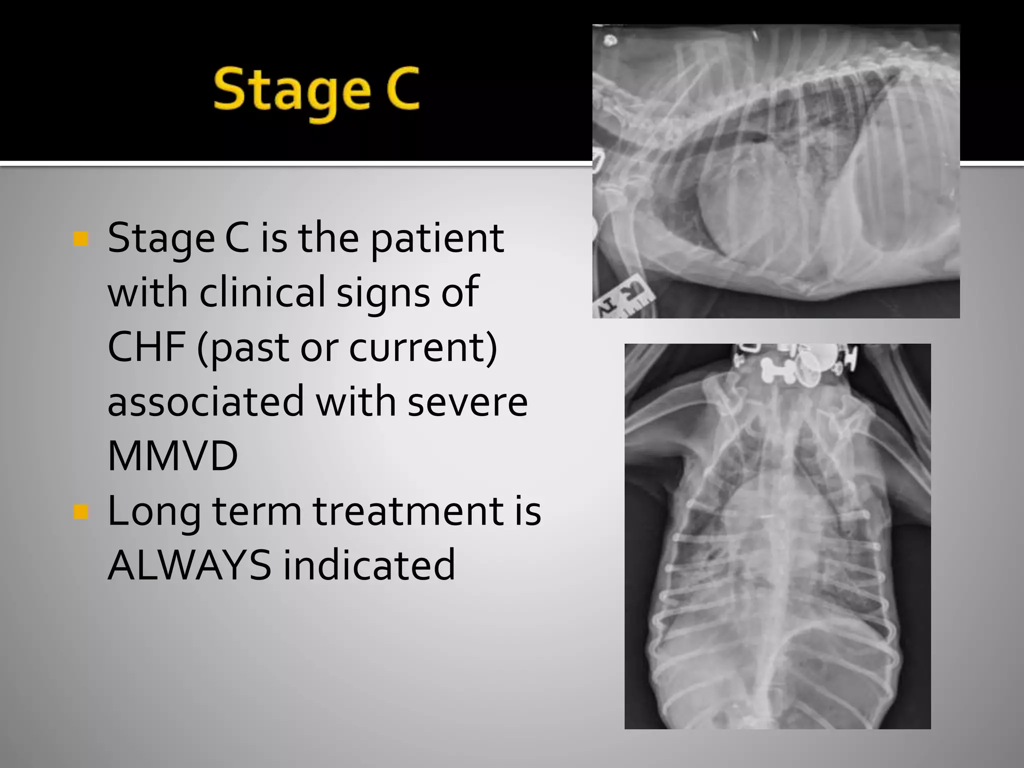 Cardiology - Myxomatous Mitral Valve Degeneration: What's New? By Rita ...