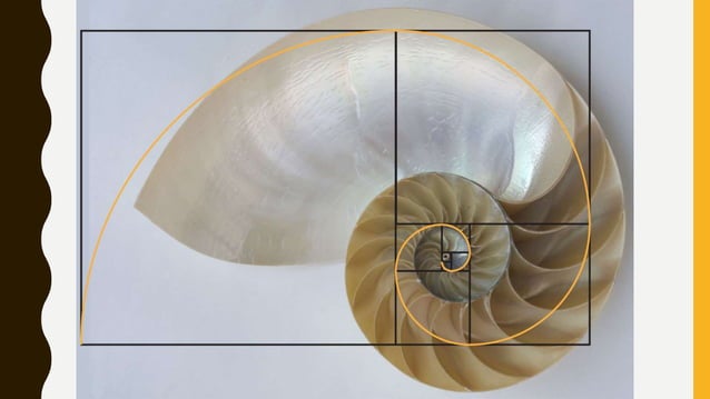 Mathematics in the Modern World (Patterns and Sequences).pptx