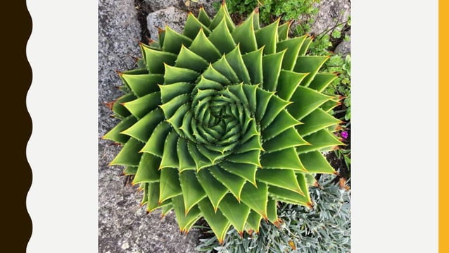 Mathematics in the Modern World (Patterns and Sequences).pptx