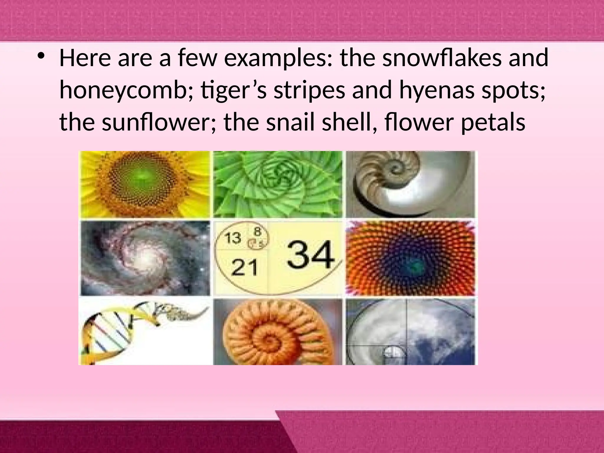 MMW lesson1: the nature of mathematics - patterns and numbers in nature.pptx