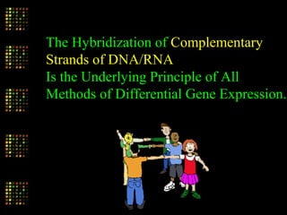 Dna microarray mehran- u of toronto | PPT | Biological Sciences | Science