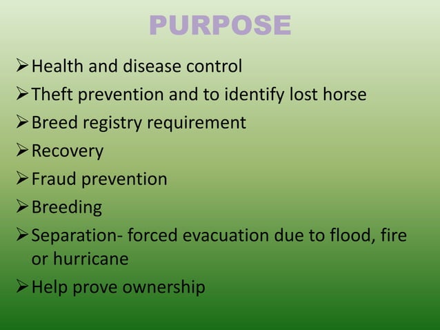 Equines(Horses) markings and identification | PPT