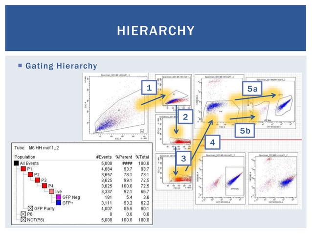 Flow Cytometry Training: Introduction day 1 session 2 | PPTX ...