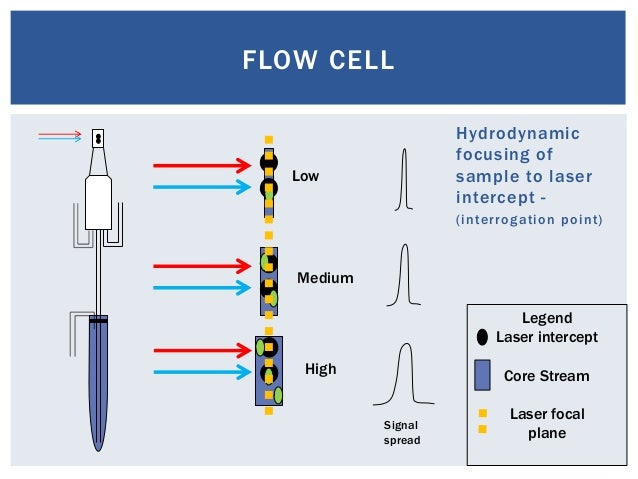 Flow Cytometry Training: Introduction day 1 session 2
