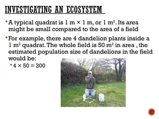 MN---Ecosystems.pptx ecosystem ecosystems | PPT