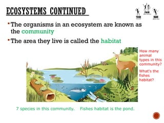 MN---Ecosystems.pptx ecosystem ecosystems | PPT