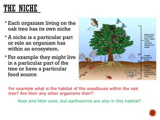 MN---Ecosystems.pptx ecosystem ecosystems | PPT