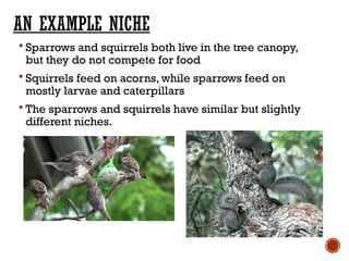 MN---Ecosystems.pptx ecosystem ecosystems | PPT