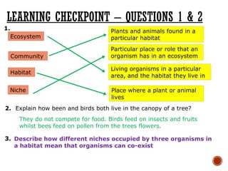 MN---Ecosystems.pptx ecosystem ecosystems | PPT