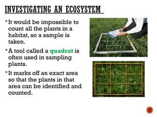 MN---Ecosystems.pptx ecosystem ecosystems | PPTX