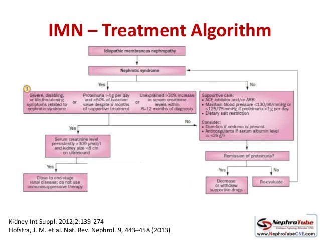 Membranous Nephropathy - Management Algorithm