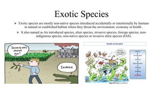 Impact of exotic Species On Local Climate | PPT