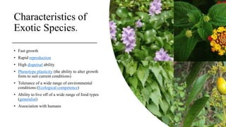 Impact of exotic Species On Local Climate | PPT