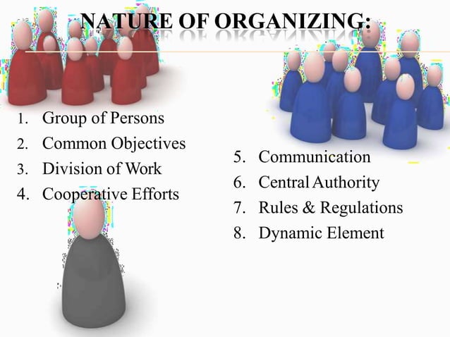 Mnagement organize, management principles.pptx
