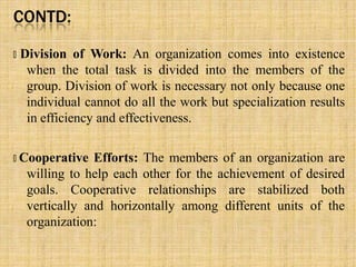 Mnagement organize, management principles.pptx